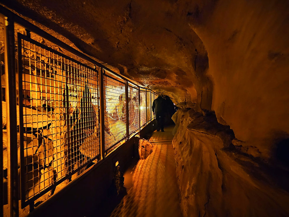 Frozen Niagara Tour in Mammoth Cave National Park