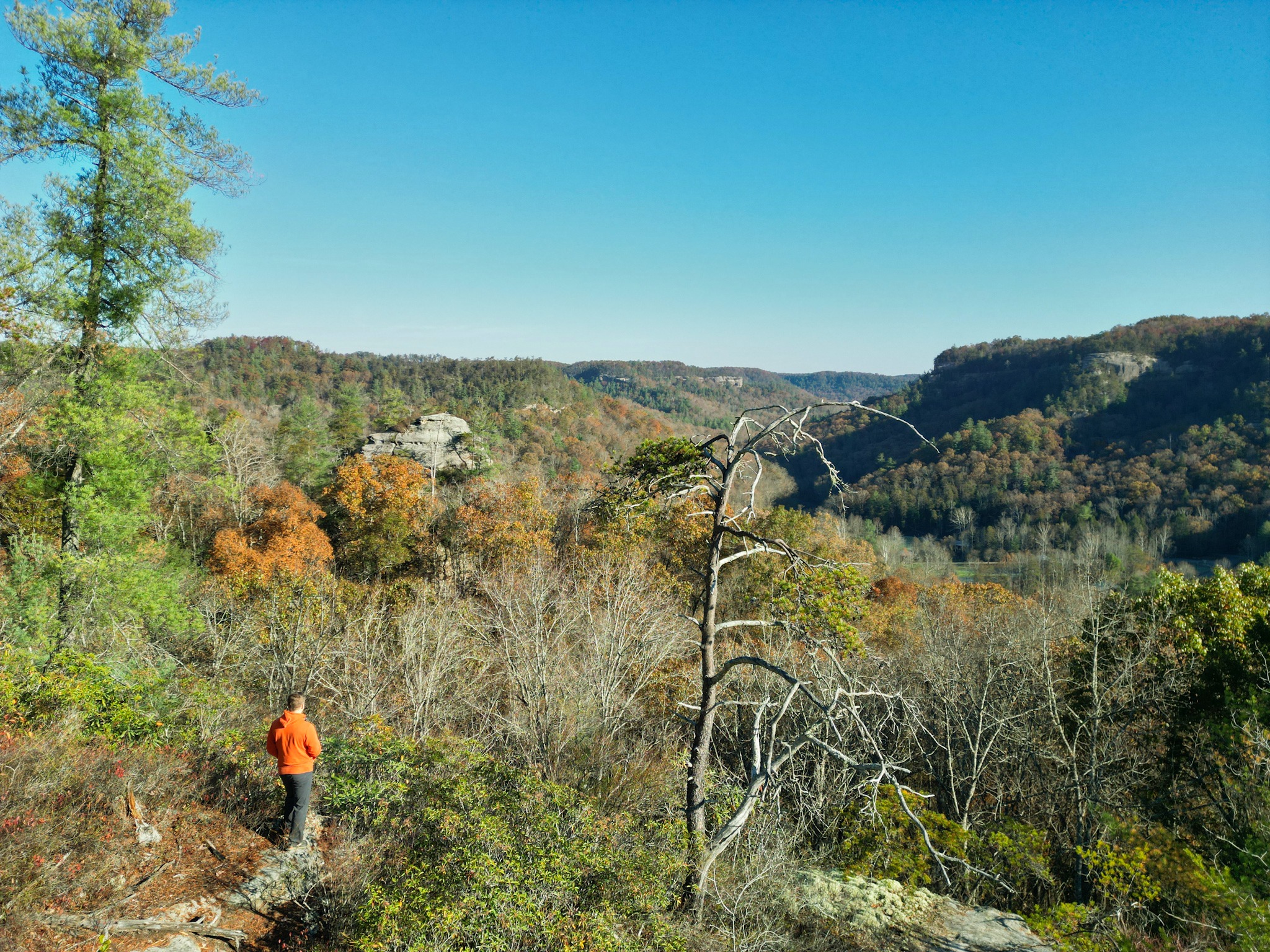 Hiking to Cherokee Arch in Red River Gorge