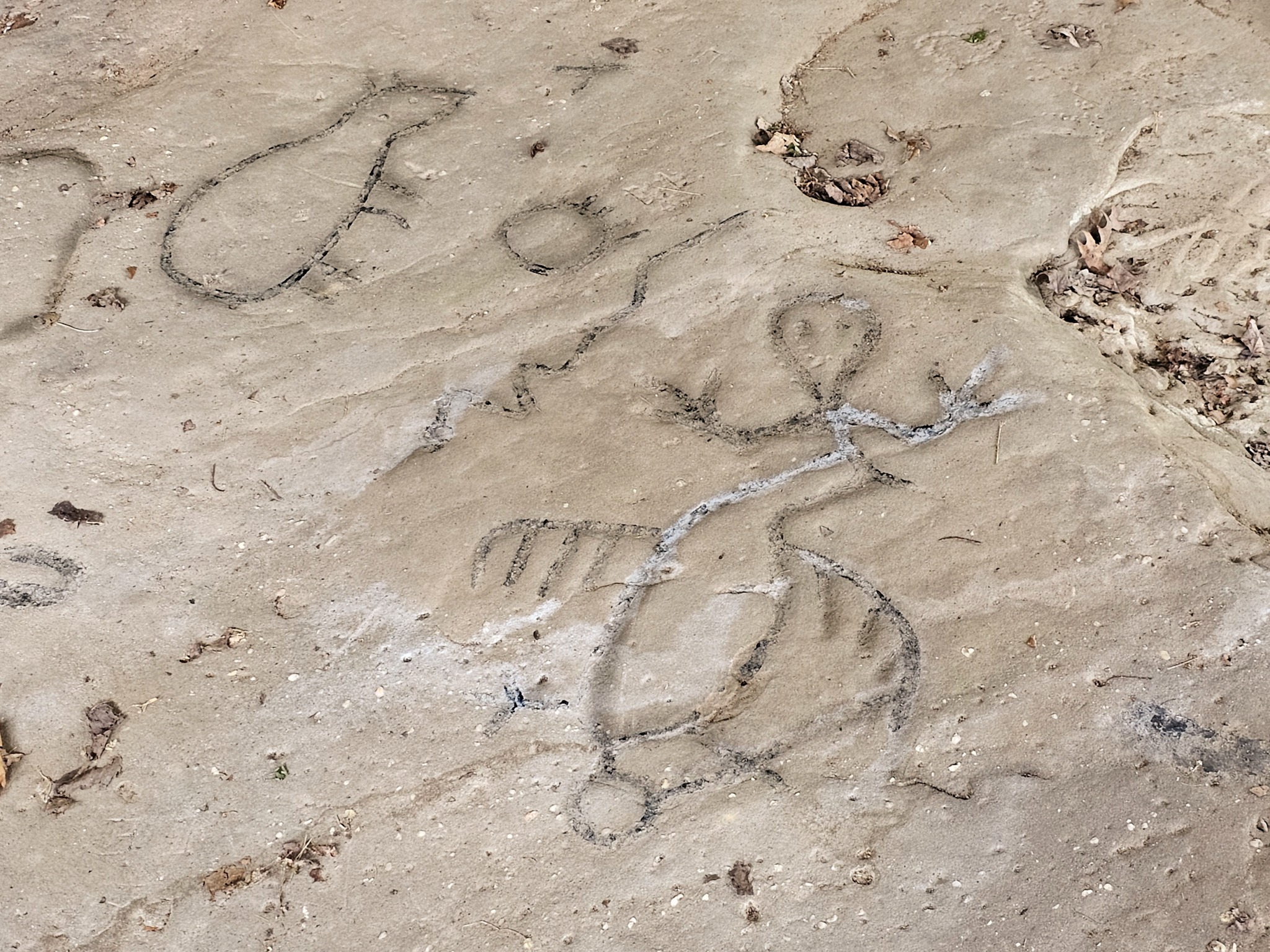 Exploring the Leo Petroglyphs & Nature Preserve