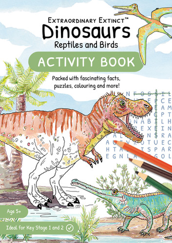 Dinosaurs Activity Book | Dodo and Dinosaur