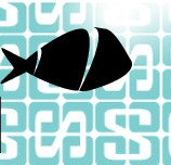 Sciaena Marine Sciences and Cooperation