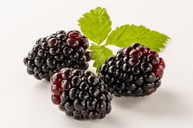 Boysenberries — Frozen | Gentleman Forager