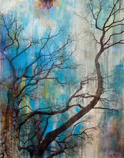 Trees | SaraAbbott