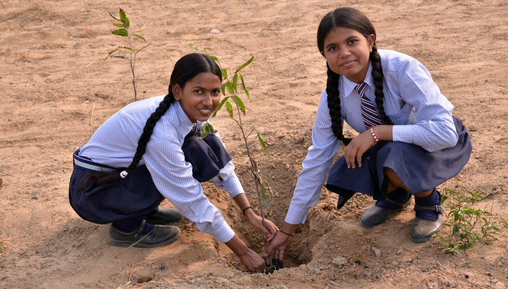 Plant A Tree | Sustainable Green Initiative