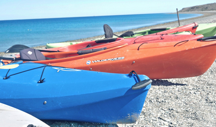 Experience Magdalena Island Whale Camp | Magdalena Bay Whales