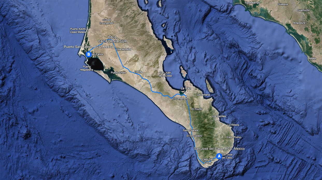 Private Transportation Services in Baja California Sur: Magdalena Bay ...