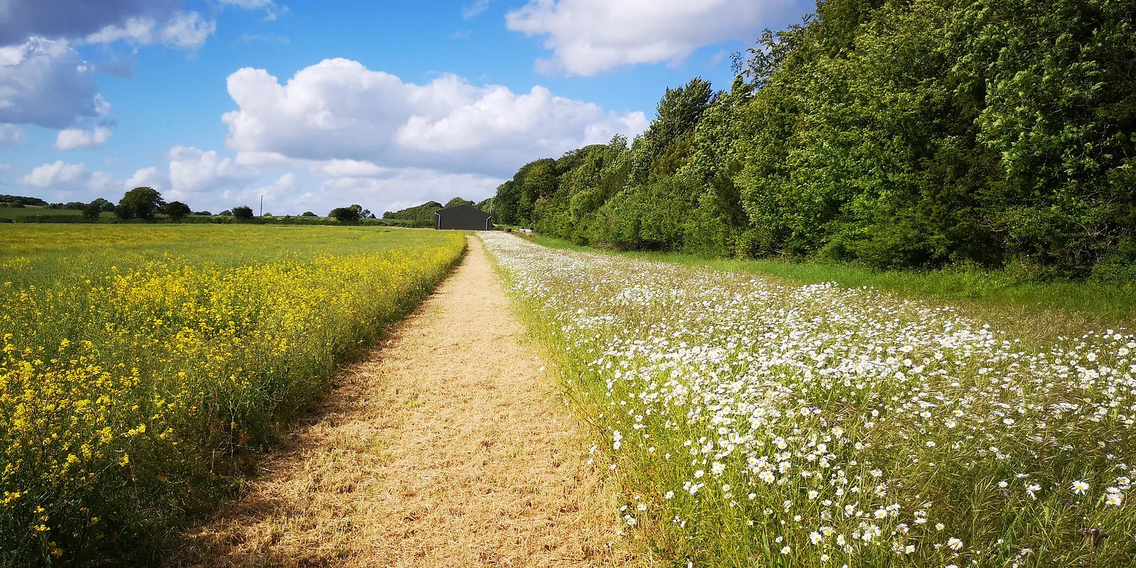 Lockerley Estate: A Leader in Regenerative Agriculture