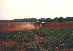 Mason Farm Family History