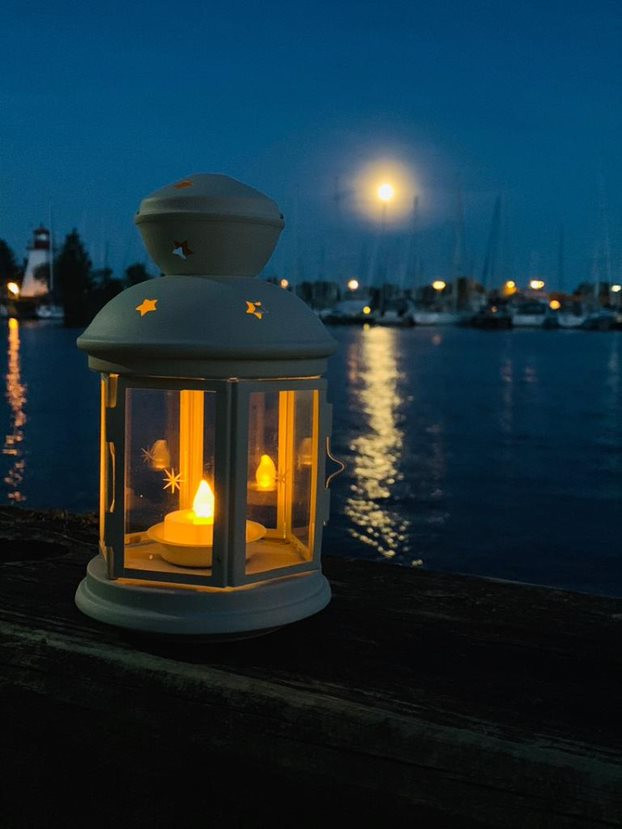 Frequently Asked Questions | moonlit-memory-walk