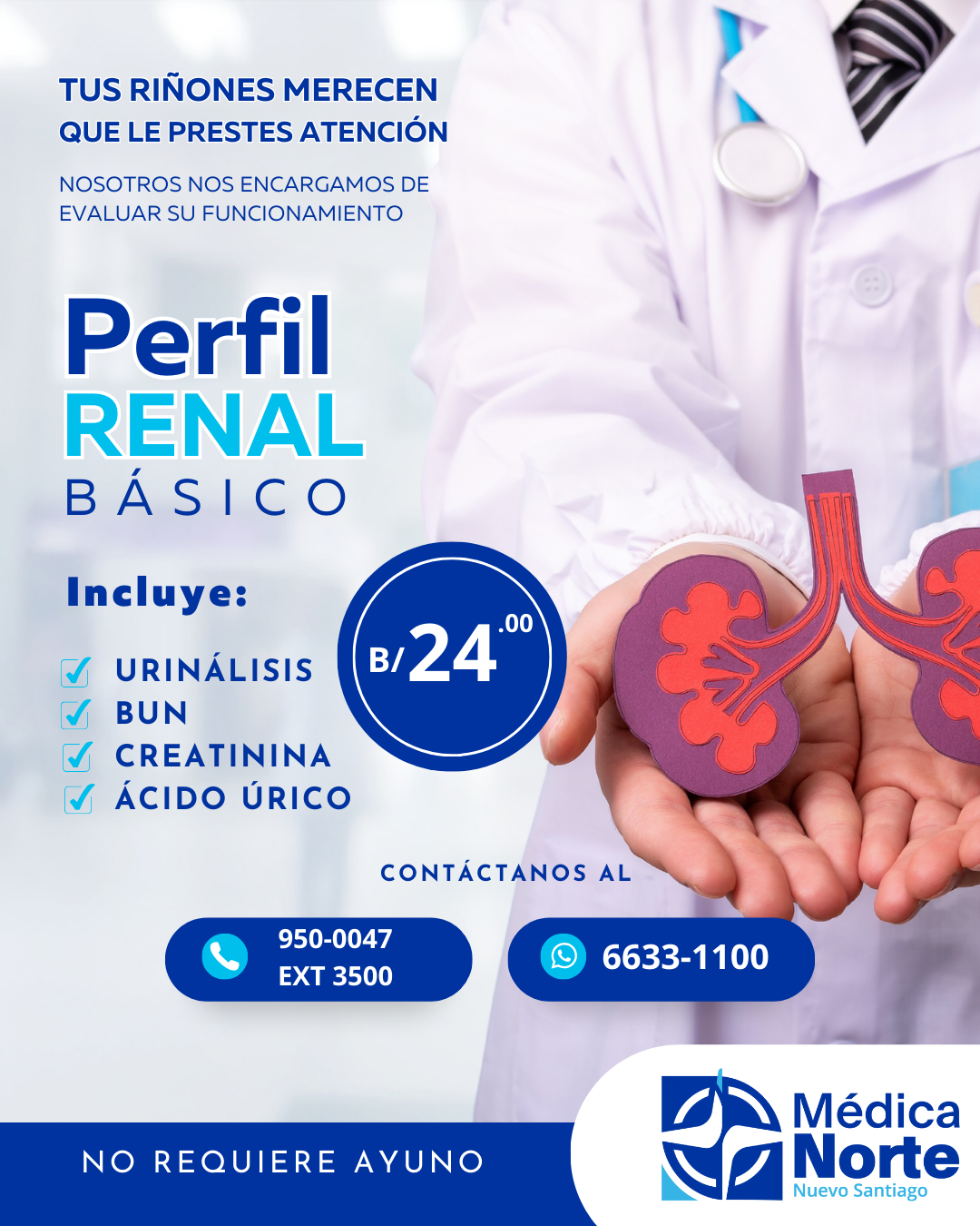 Perfil Renal Básico
