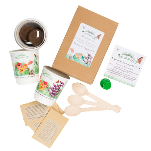Mini Growing Kit | thecropclub