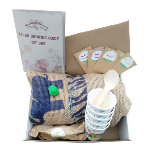 Salad Growing Kit One | thecropclub