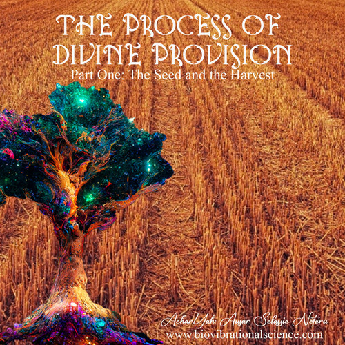 The Process of Divine Provision Part One MP3 | Universal Church IAM
