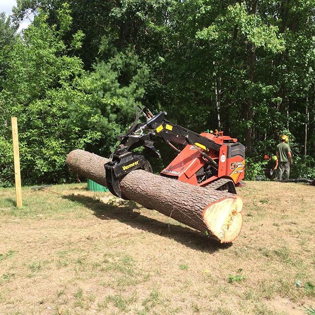 New Hampshire Tree Service