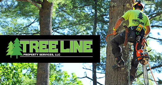 New Hampshire Tree Service