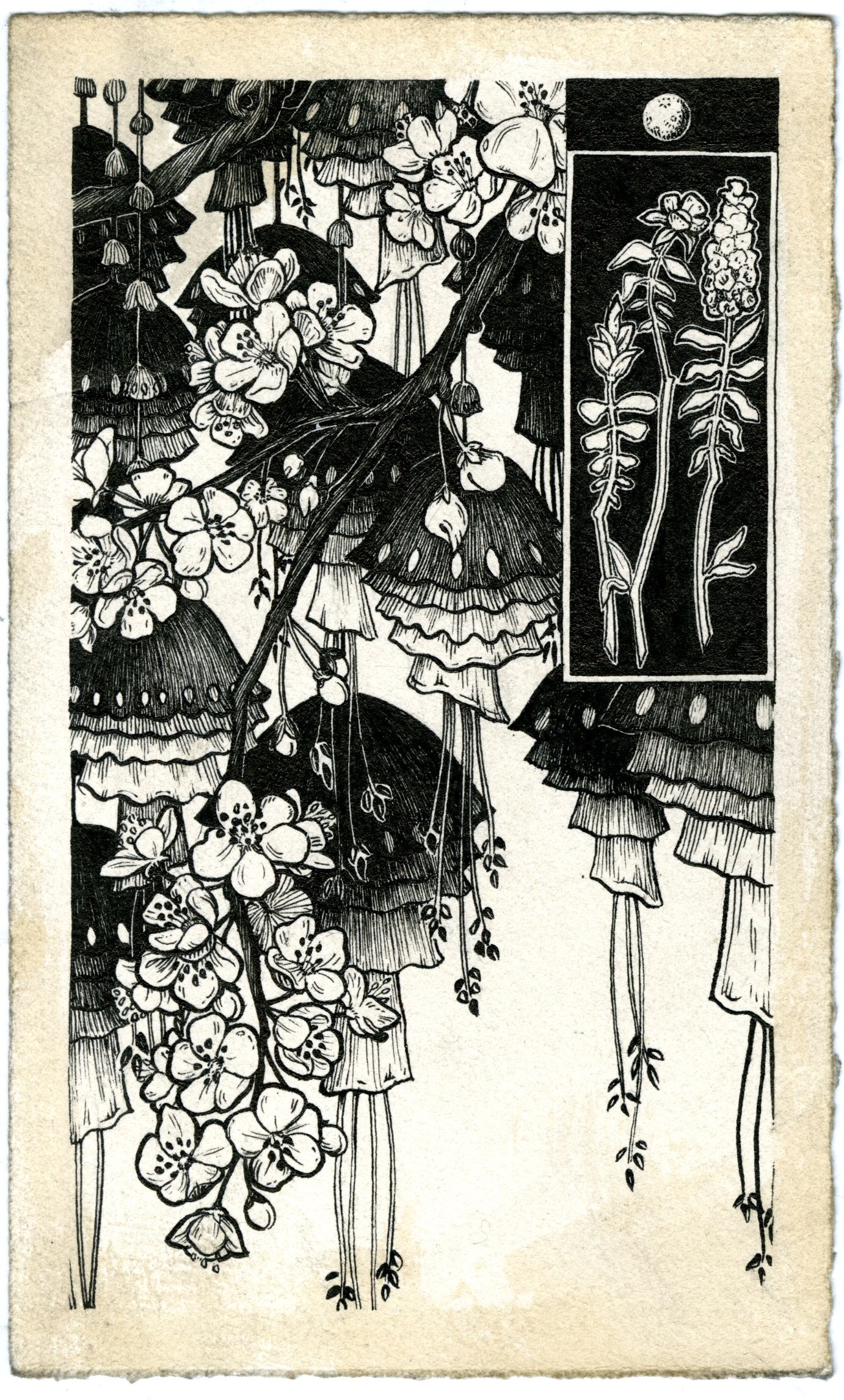 The Art of Zane Prater