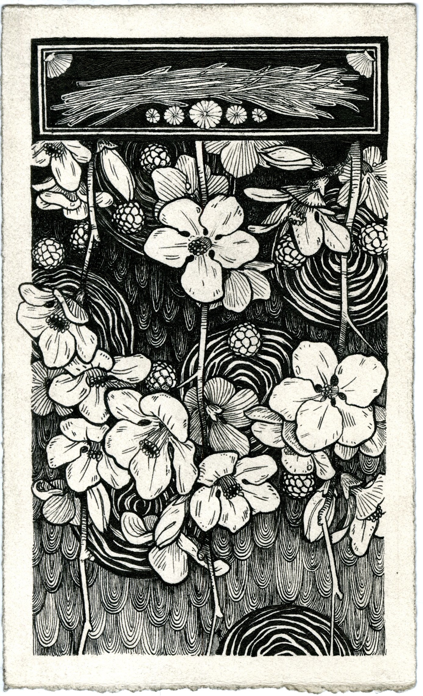 The Art of Zane Prater