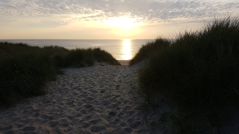 The “hidden” power of (sun)light: How near-infrared light can improve ...