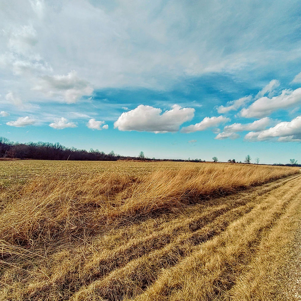 Rock Bridge State Park and Whetstone Conservation Area