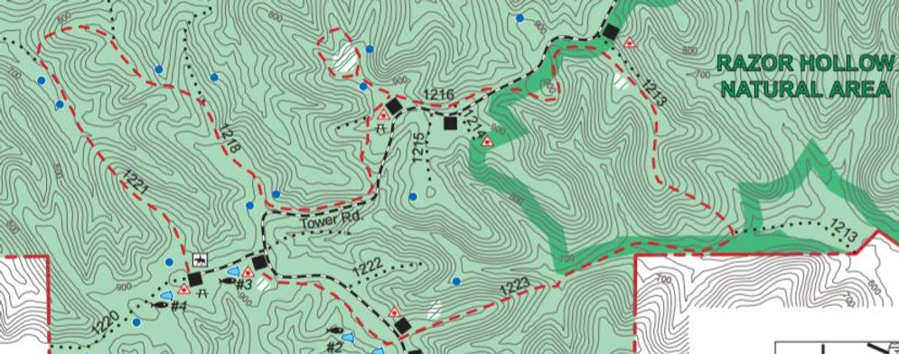 Daniel Boone Memorial Forest Trail