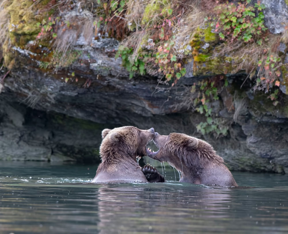 Kodiak Island Adventure