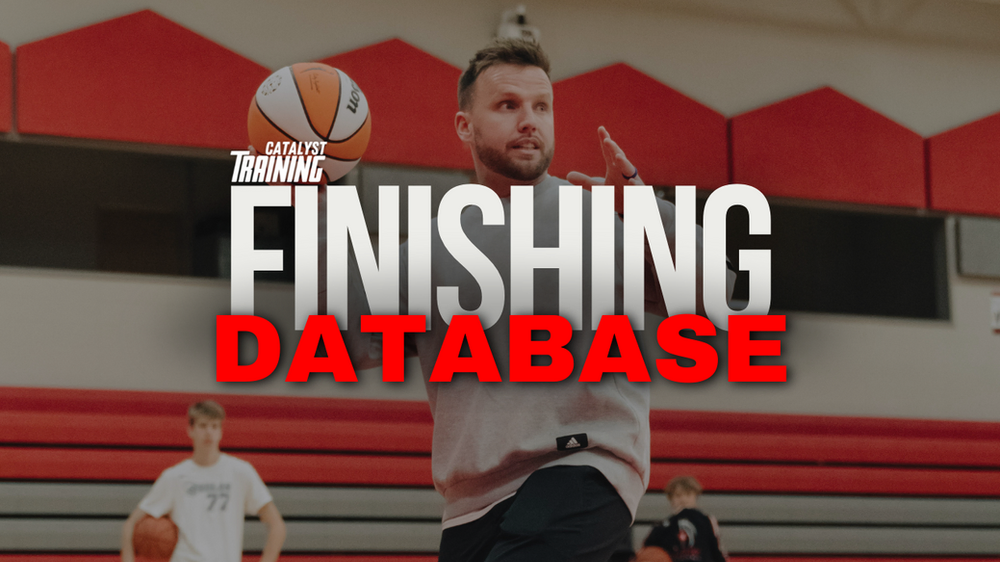 Finishing Database | Catalyst Training