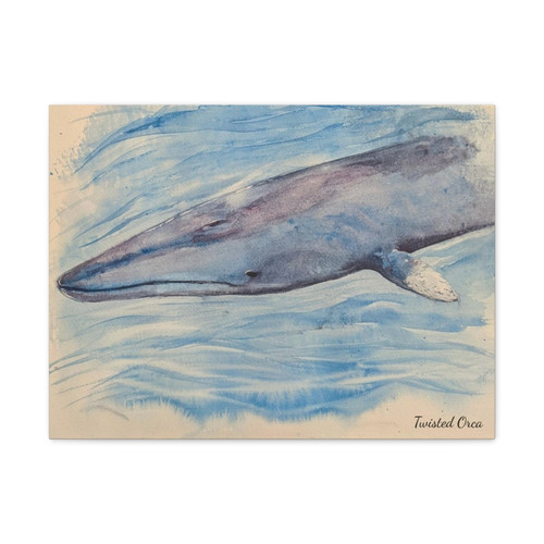 Minke Whale in Maine Art Canvas Gallery Wrap | Twisted Orca