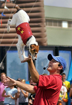 Paws of Fame | Stunt Dog Productions