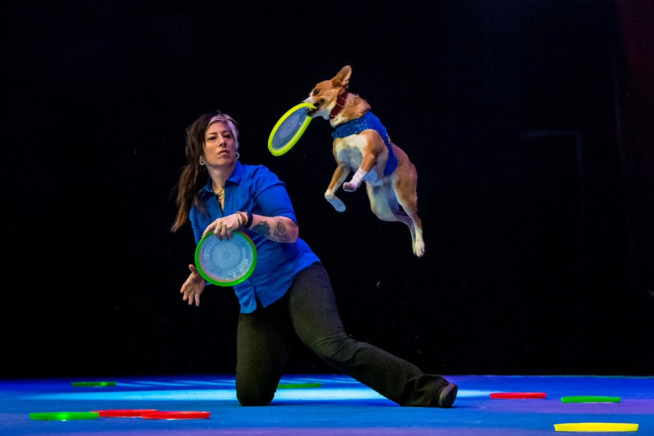 Theaters | Stunt Dog Productions