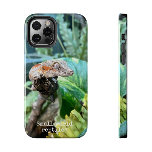 gargoyle gecko Tough Phone Cases, Case-Mate | Small World Reptiles