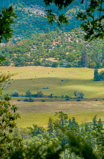 Mt Top | Applegate Fellowship