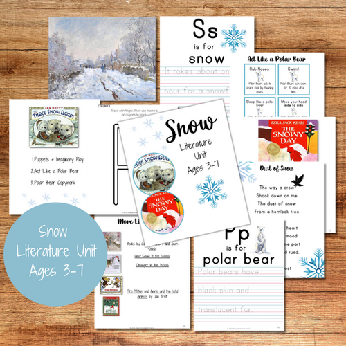 Snow Literature Preschool Unit | Established At Home