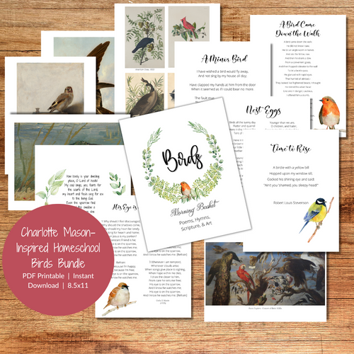 Charlotte Mason Birds Morning Basket | Established At Home