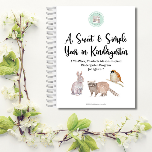 A Sweet and Simple Year in Kindergarten DIGITAL VERSION | Established ...