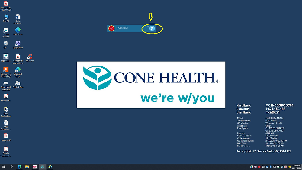 Dragon and IVC Forms