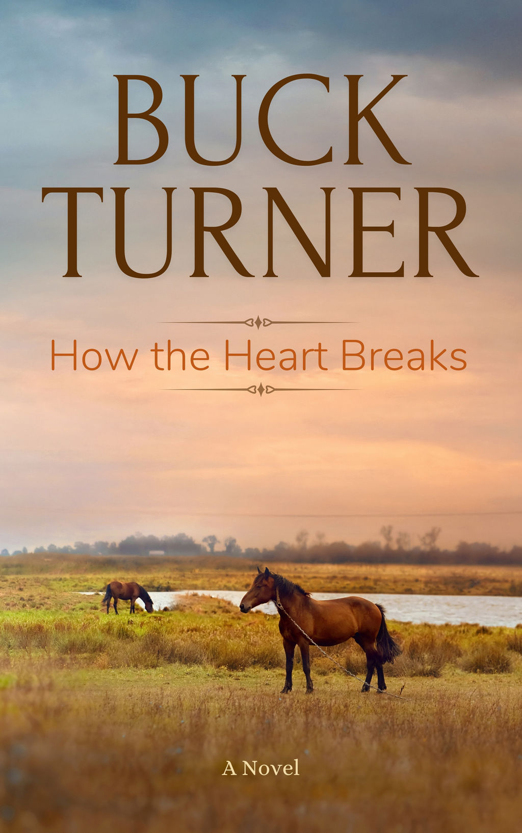 Blog | Buck Turner