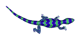 Privacy Policy & Terms and Conditions | Lizardsalt