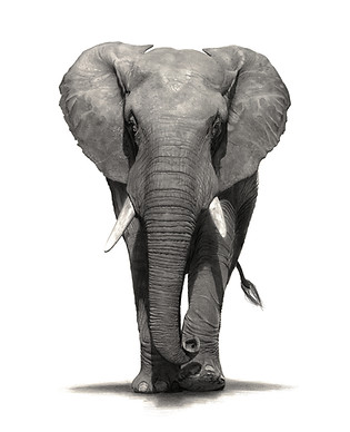 Collections | Robert Buchanan Art