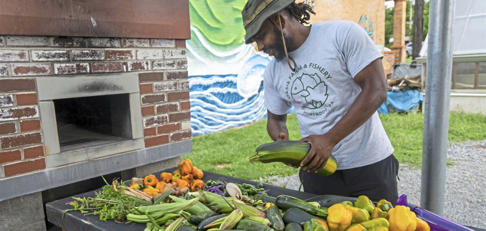 Oasis Farm and Fishery is all about growing community