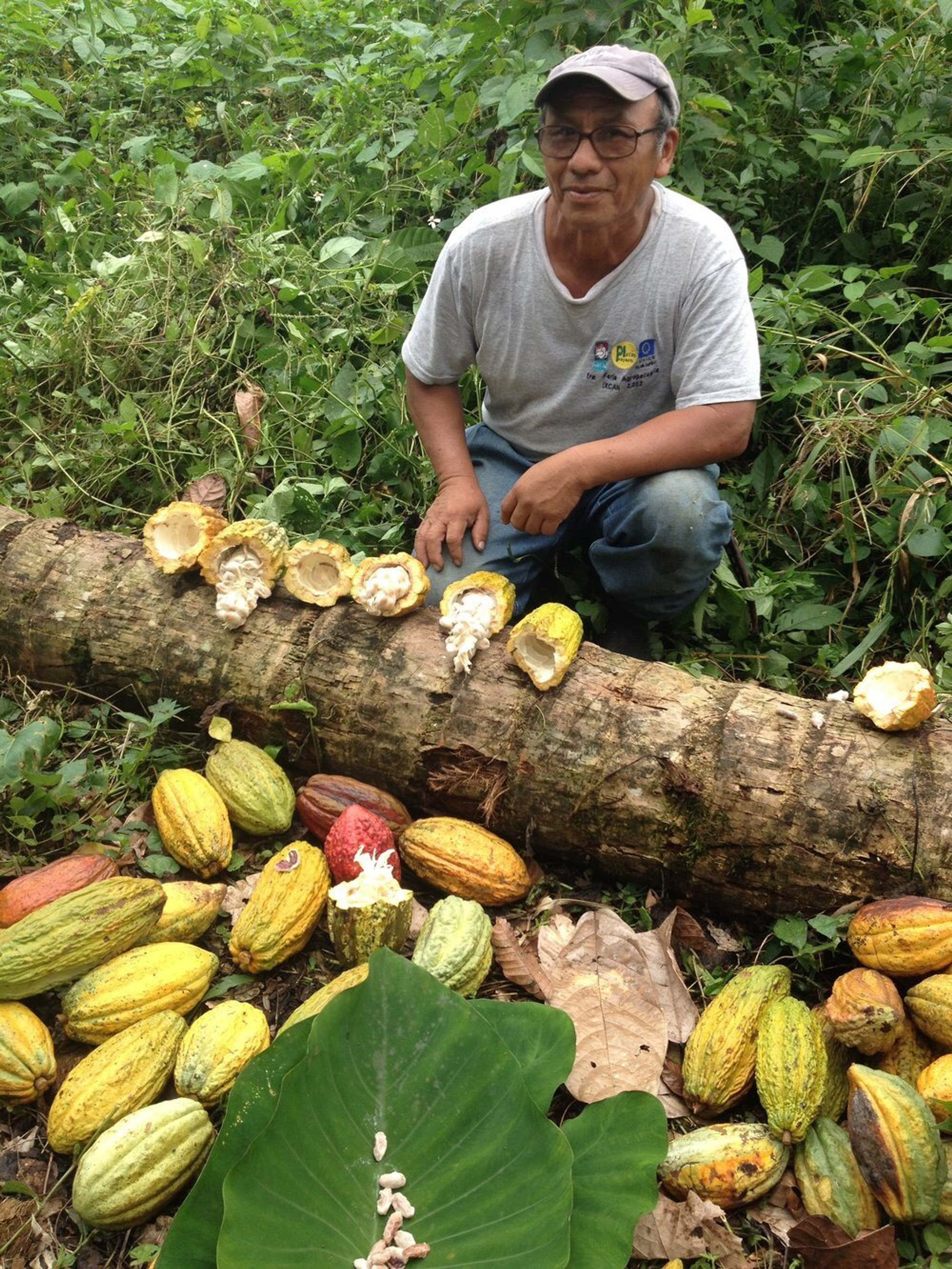 The Cacao Thread | Tuqtuquilal