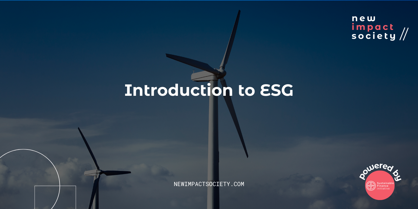 Introduction to ESG | New Impact Society