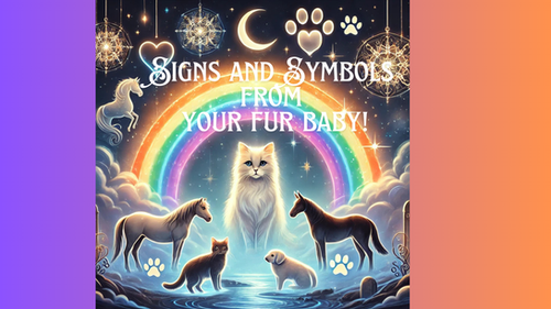 Signs, Symbols and Messages from your Fur Babies | Animal Communication