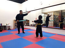 ninjutsu schools