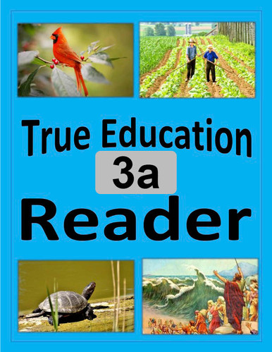 Grade 3 Reader Book 1 | West Salem Mission