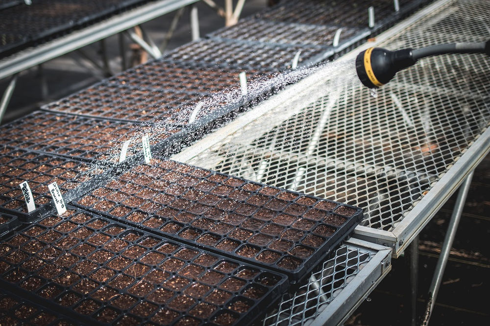 Seeding Trays from Start to Finish