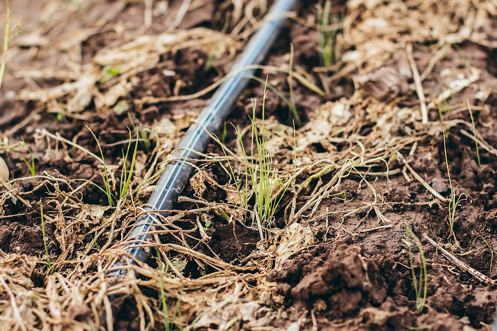 A New Bed Preparation Method