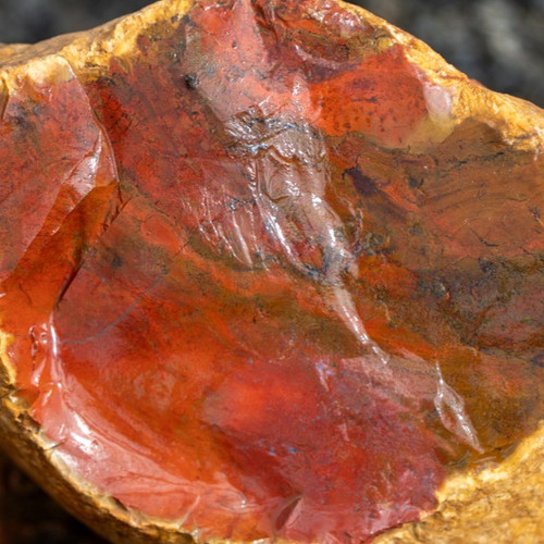 Red Moss Agate | GemCentral