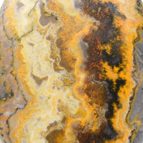 Bumblebee Jasper | GemCentral