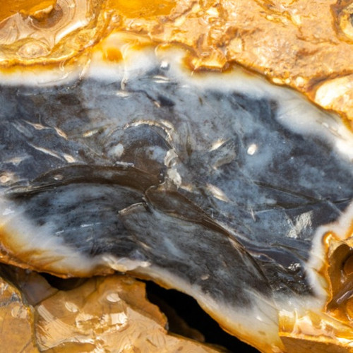 Feather Agate | GemCentral