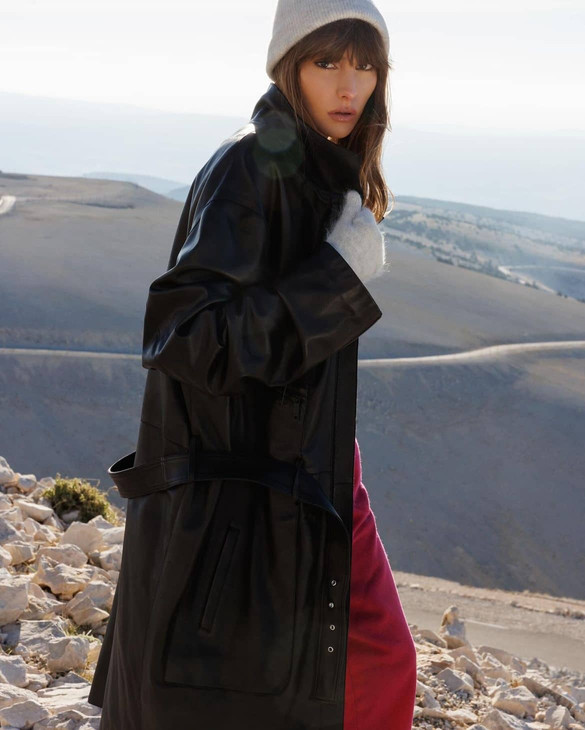 CLEMENCE N | DSG MODEL AGENT